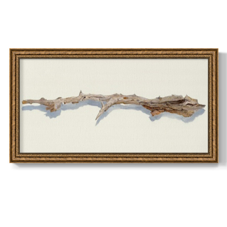 Millwood Pines Driftwood Study I Framed On Canvas Print - Wayfair Canada
